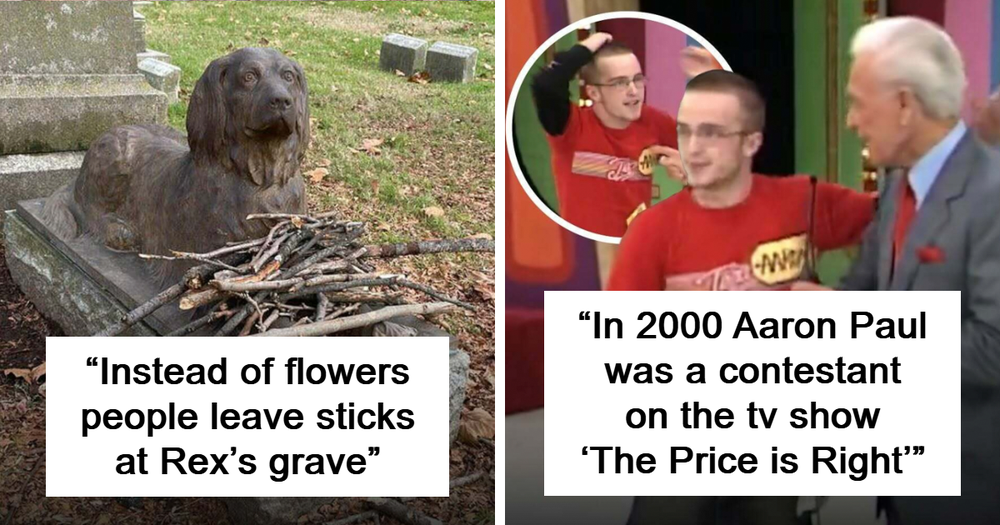 50 Facts And Curiosities More People Should Know About