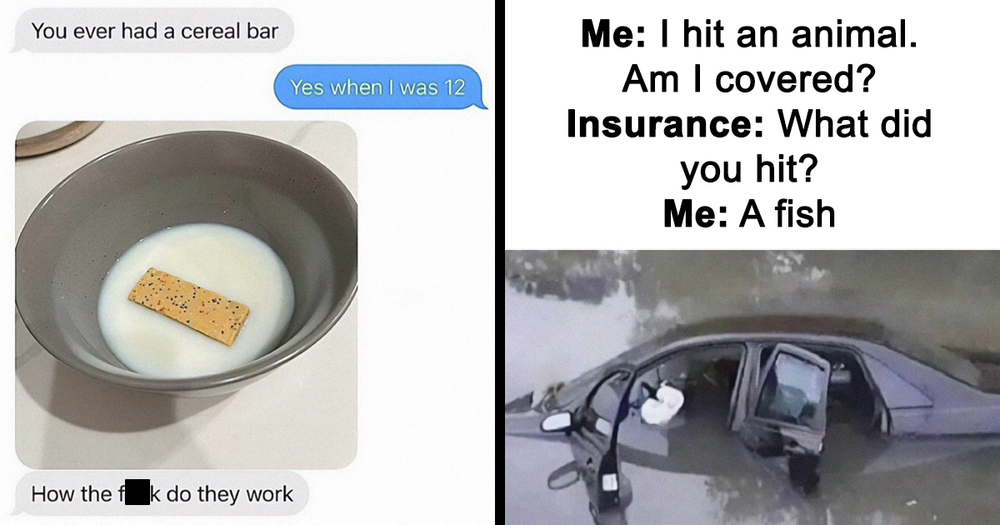 50 Random And Relatable Memes That Might Make You Laugh (New Pics)