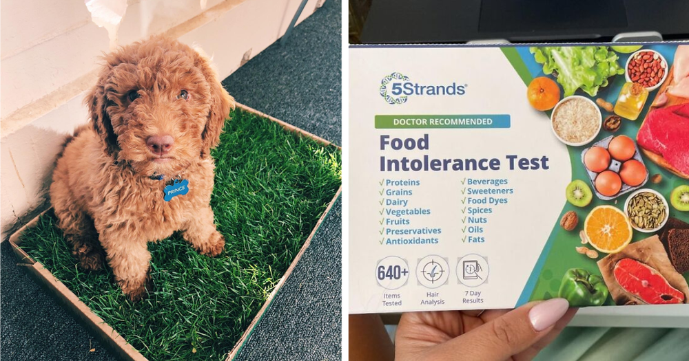 22 Biggest Shark Tank Success Stories That You Might Now Have Known About