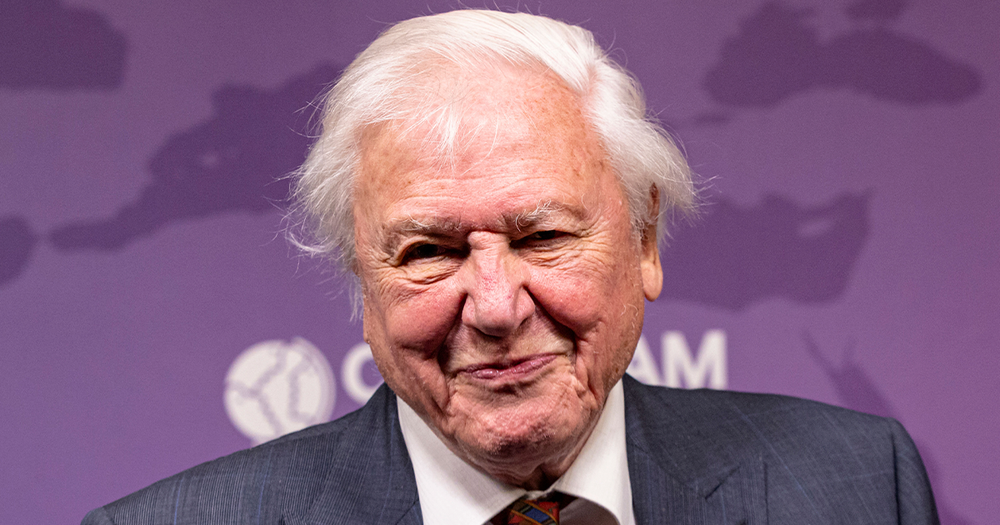 David Attenborough Says He Is Nearing “The End Of His Life”, Issues Urgent Warning
