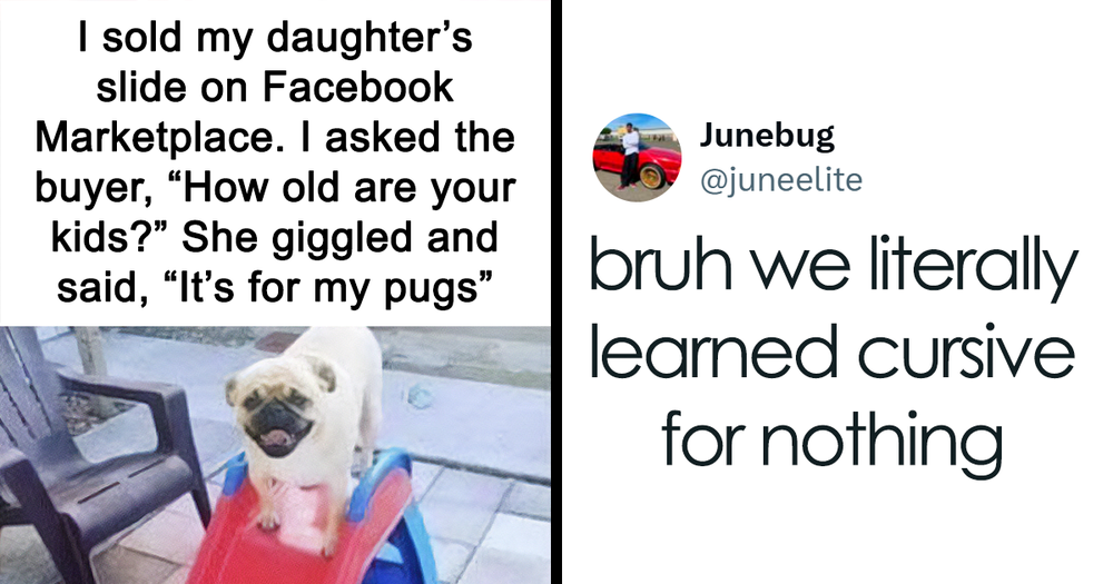 50 Memes That Might Make You Laugh So Hard You Forget What You Were Sad ...