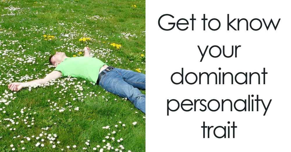 The Ultimate Personality Test: Answer 24 Questions And We’ll Reveal ...
