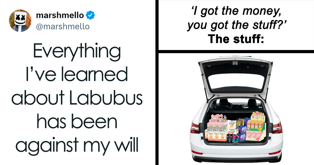 65 Memes About The Horrid New Trend That Is Labubu