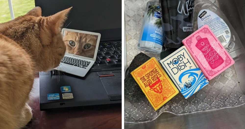 23 Little Novelty Upgrades To Make The Most Mundane Parts Of Your Day ...