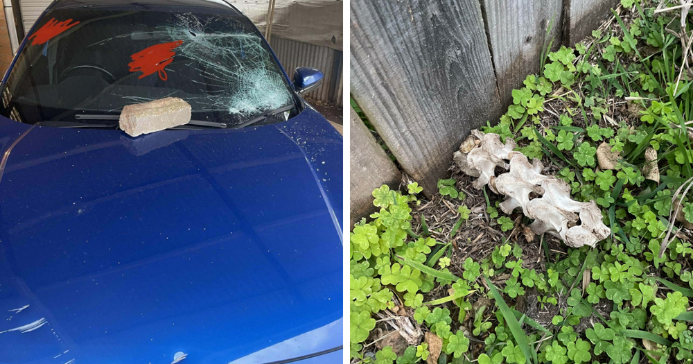 63 Neighbor Tales That Might Make You Want To Move To The Woods
