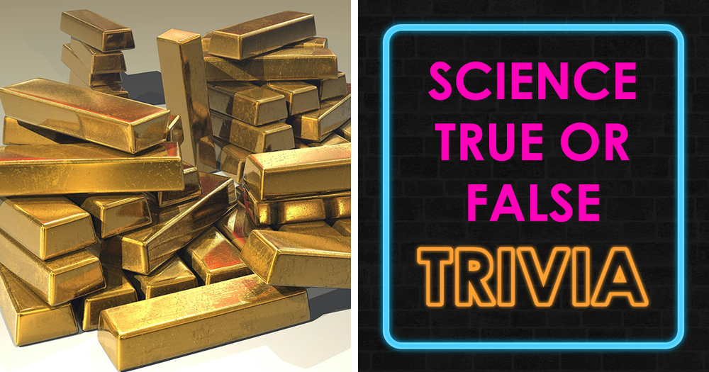 35 True-Or-False Science Questions That’ll Test How Much You Actually ...