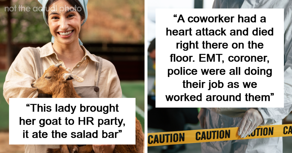 These 68 People Should Be Paid Bonuses For The Absolute Madness They ...