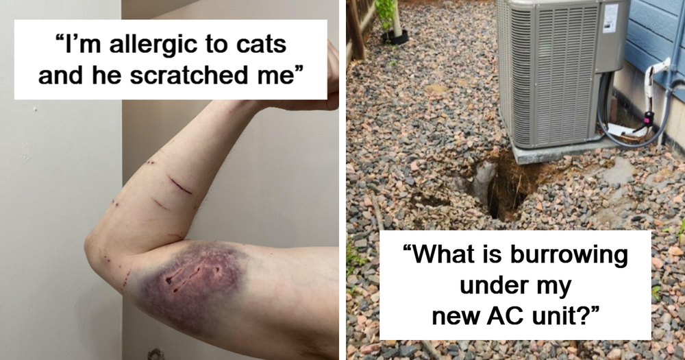 “Oops That’s Deadly”: 50 Clueless People Who Have Everyone Wondering ...