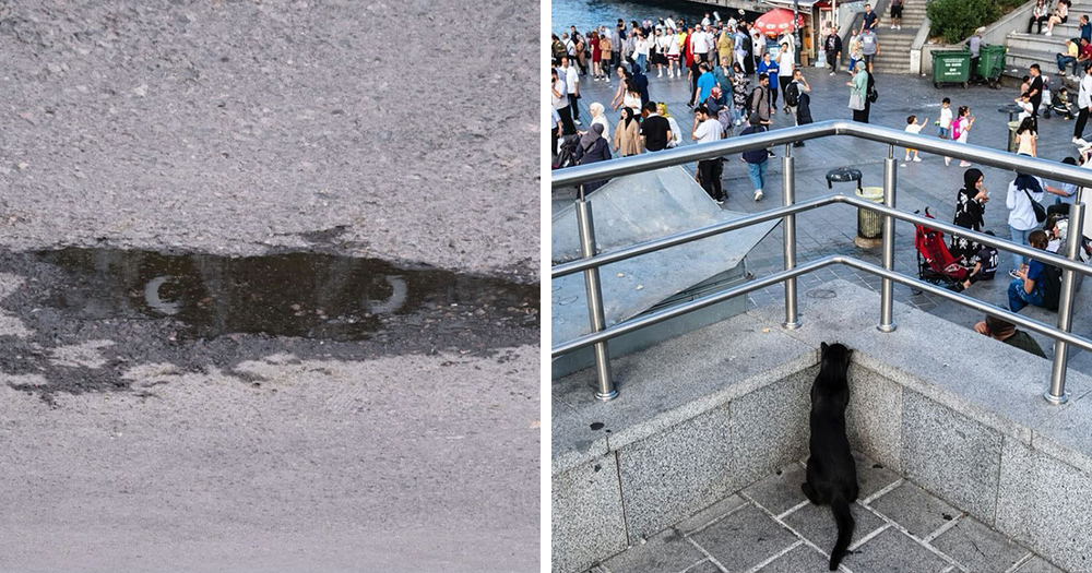 This Street Photographer Proves That Timing Is Everything, And Here Are ...