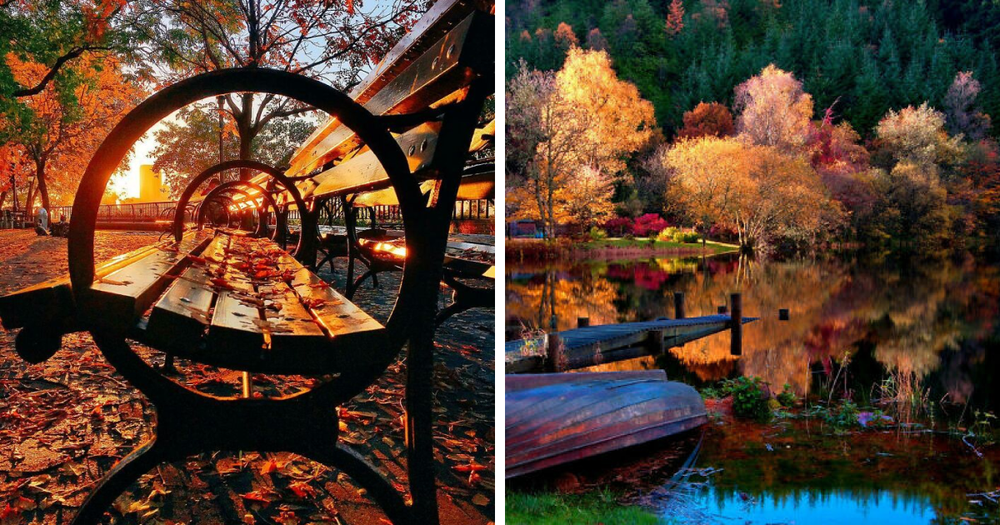 52 Captivating Photos Of Autumn Leaf Colors And Fall Foliage From ...