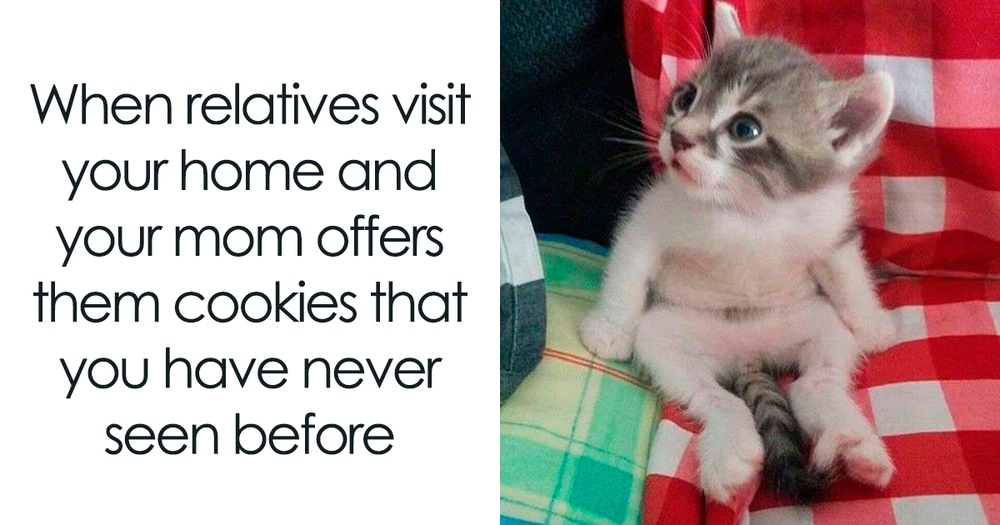 A Day Is Not Complete Without Looking At Memes So Here Are 79 For You ...