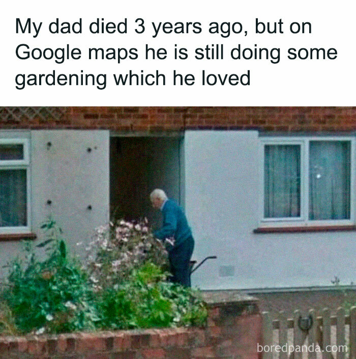 38 Funny And Random Memes To Brighten Your Day