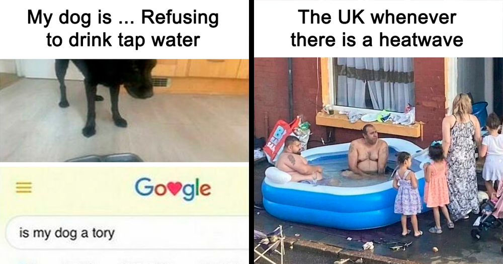 50 Brilliantly British Memes That Sum Up What Living In The UK Is ...
