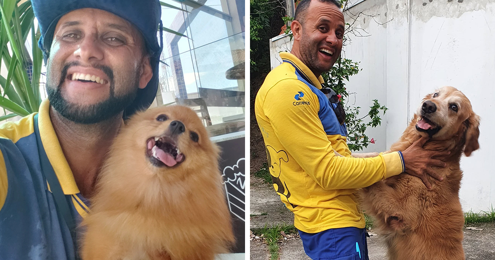 This Kind Mailman Stops To Befriend Dogs During His Deliveries, And It ...