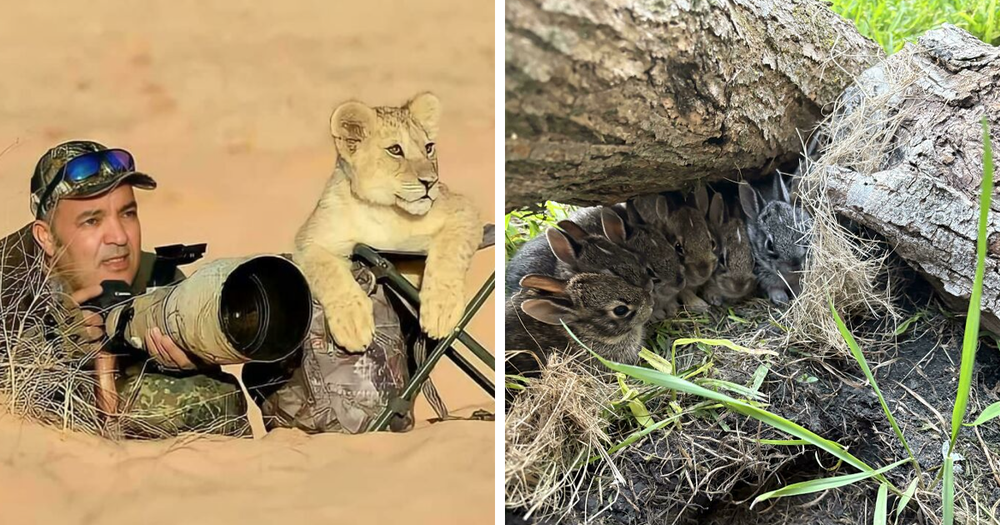 You’ve Probably Seen Enough Horrible Things Today, Here Are 50 “Eye ...