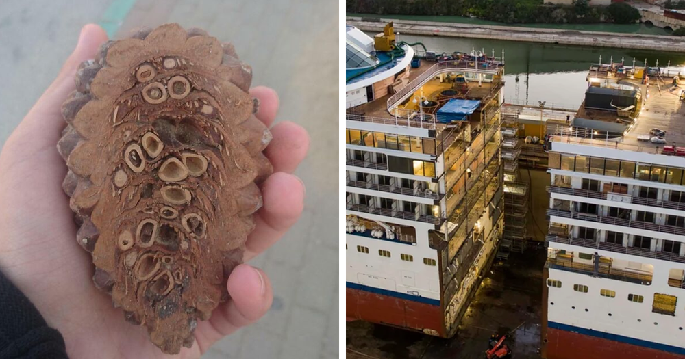 50 Interesting Pictures Showing The Insides Of Things We Rarely See ...