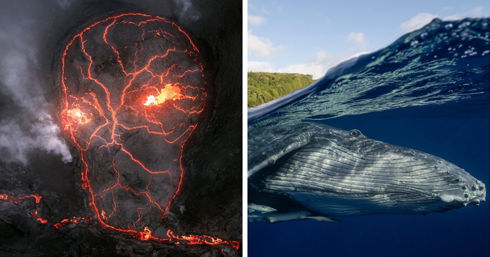 Panoramic Views Of The World: The Best Shots From The 2025 Epson ...