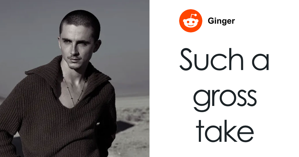 “In His MAGA Era”: Timothée Chalamet’s Child-Free Comments Spark Online ...