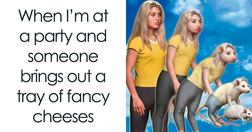 59 Funny Yet Unhinged Memes That We Can’t Explain