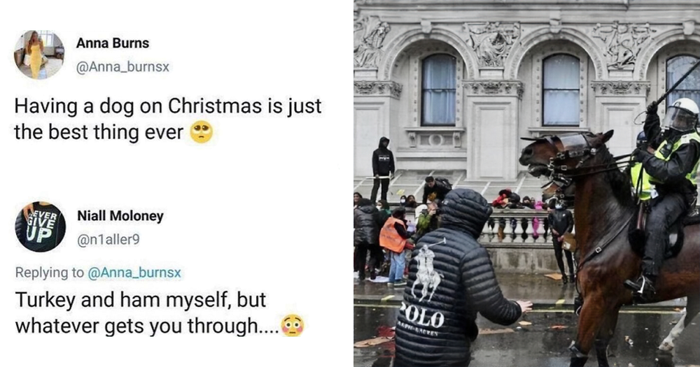 45 Posts That Will Make You Say “Wait… What?”, And Then Laugh Out Loud