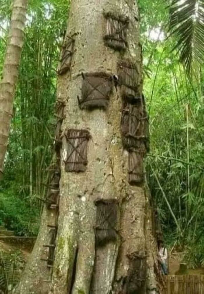 25 “Interesting But Creepy” Photos You Might Not Be Able To Look Away ...