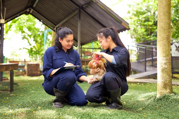 IMU’s Bioveterinary Science Programme: Shaping the future of animal health