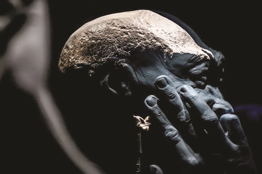 Jakarta wants return of ‘Java Man’