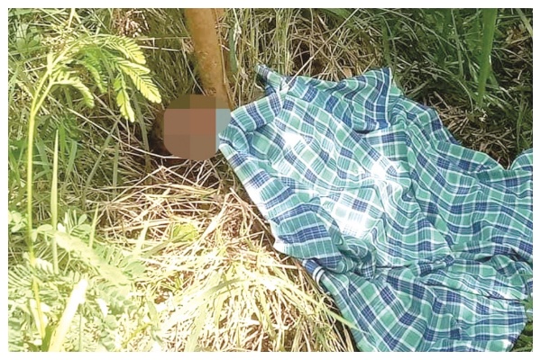 Mayat budak dipercayai mangsa bunuh ditemui dalam semak Mayat budak dipercayai mangsa bunuh ditemui dalam semak