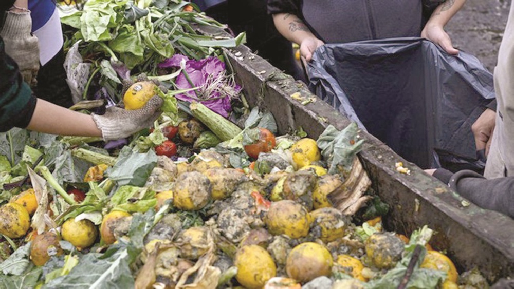 Food waste the biggest contributor to landfills