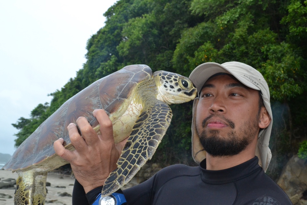 Climate change’s impact on turtles