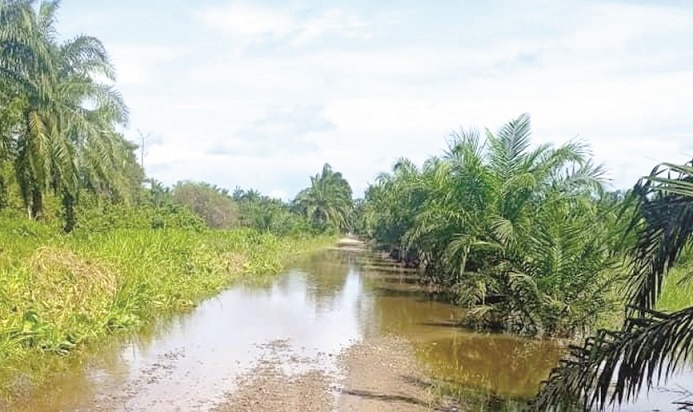 Sistem parit kurang baik punca banjir di Beaufort