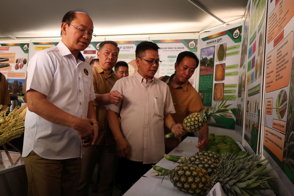 Sabah comes up with two new rice varieties