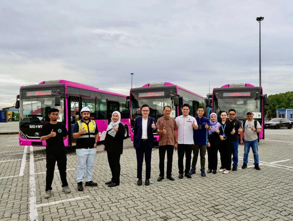 ‘Pink Buses’ trial run in September or October