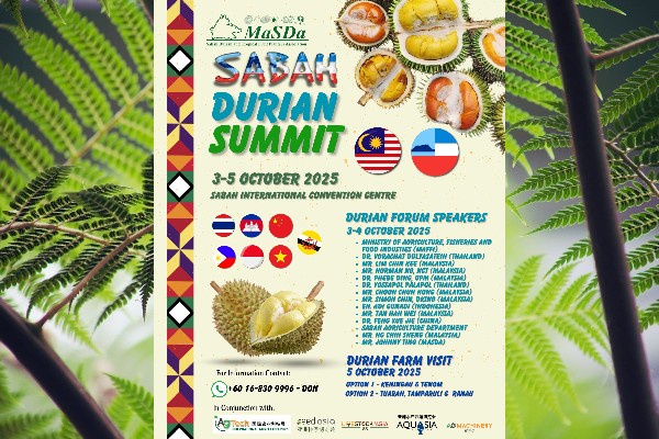 Mega Sabah durian event October