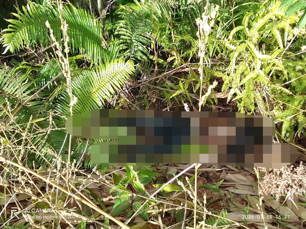 Decomposed body found along Tulid–Tongod roadside