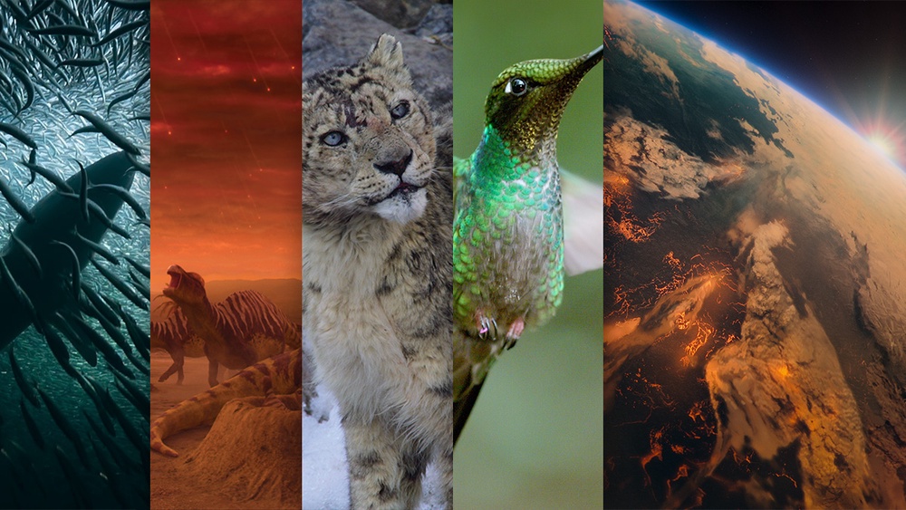 Life Finds a Way: How Netflix’s Life on Our Planet Brought Prehistoric ...