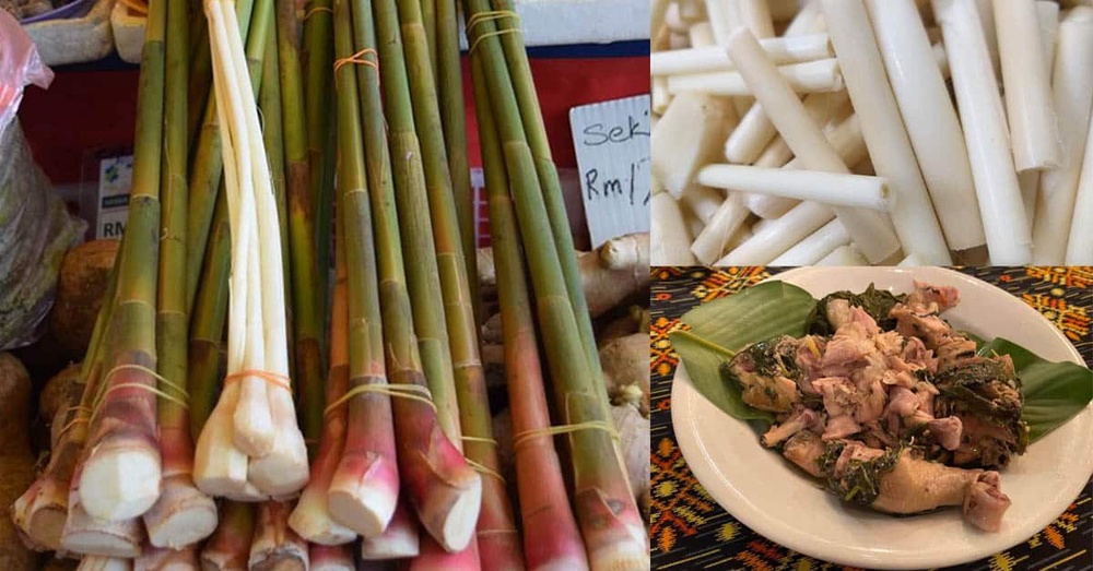 Penuh Aroma Dan Rasa Unik, Pucuk Tepus Di Sarawak Jadi ‘Flavor Enhancer ...