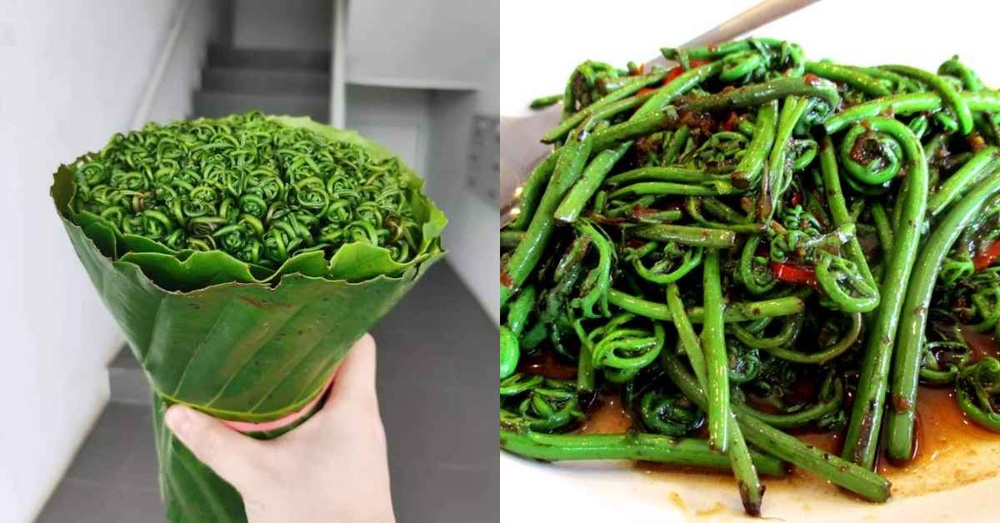 Sedap Dimasak Bersama Belacan, Ketahui 5 Kebaikan ‘Midin’ Sarawak