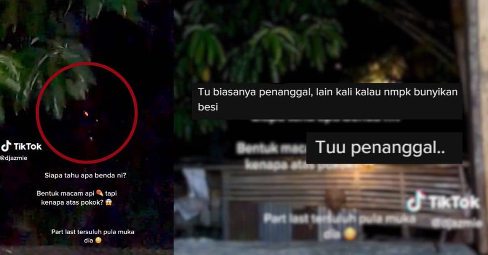 Lelaki Ini Rakam Entiti Misteri Atas Pokok Di Sabah, Netizen Dakwa Ia ...