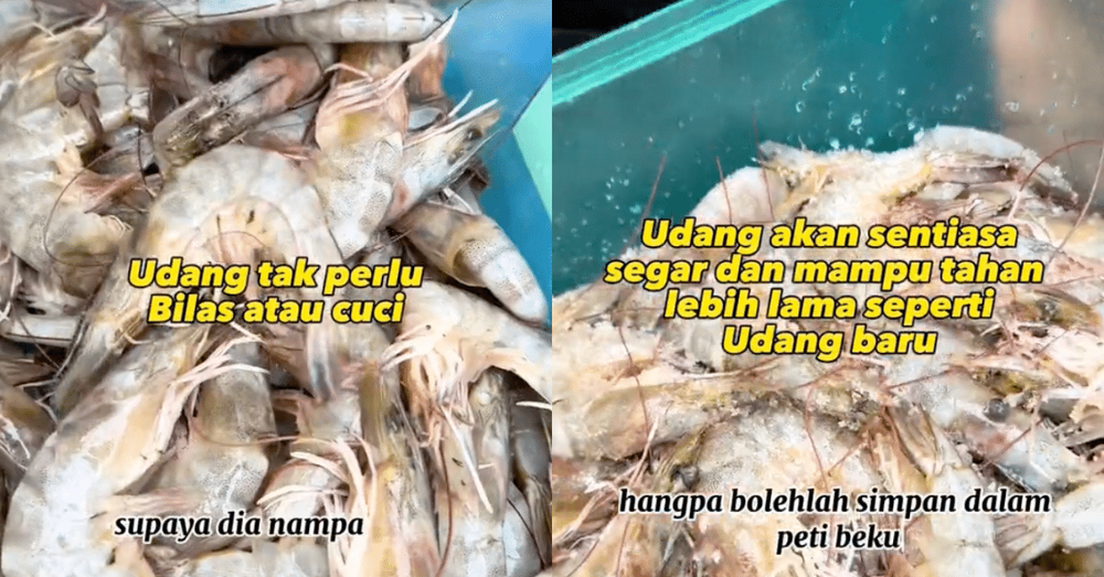 Boleh Tahan Lama, Individu Kongsi Cara Simpan Udang Supaya Kekal Segar