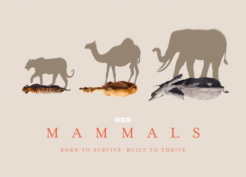 Malaysia Features In Mammals, David Attenborough’s New BBC Documentary