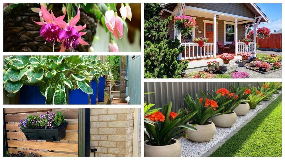 7 Idea Susun Atur Pasu Bunga di Halaman Rumah Agar Lebih Cantik dan ...