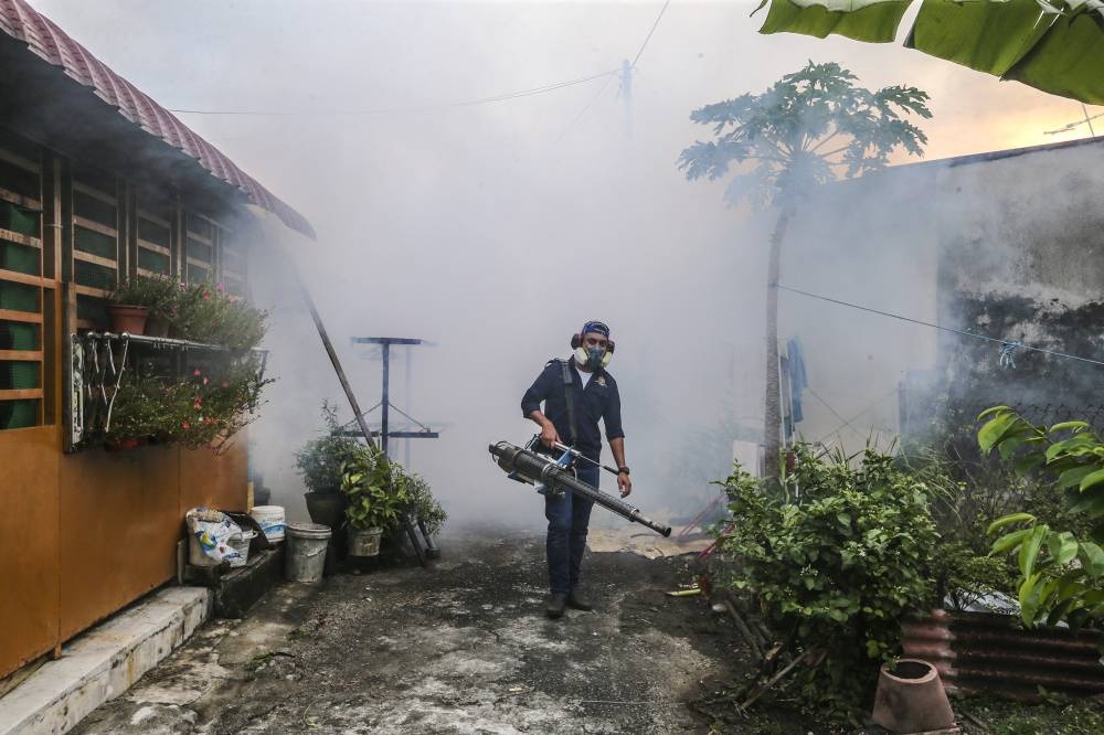 Climate change creates the perfect conditions for dengue to spread: Is ... Climate change creates the perfect conditions for dengue to spread: Is ...