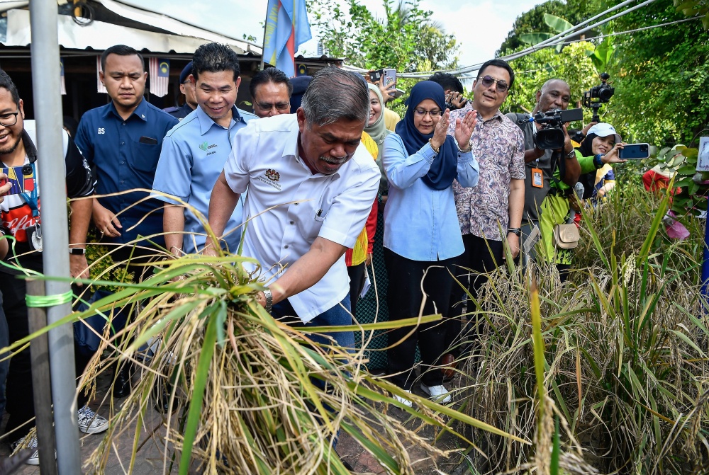 Mat Sabu credits govt action for improved local white rice supply