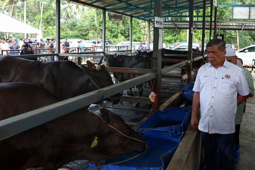 Mat Sabu: Agriculture and Food Security Ministry ready to audit licence ...