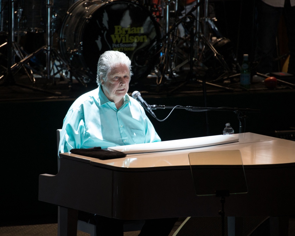 Family of Beach Boys' Brian Wilson seeks conservatorship Family of Beach Boys' Brian Wilson seeks conservatorship