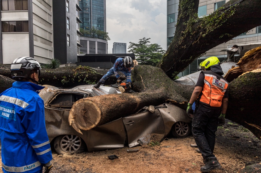 DPM Zahid extends condolences to family of victim in fallen tree incident