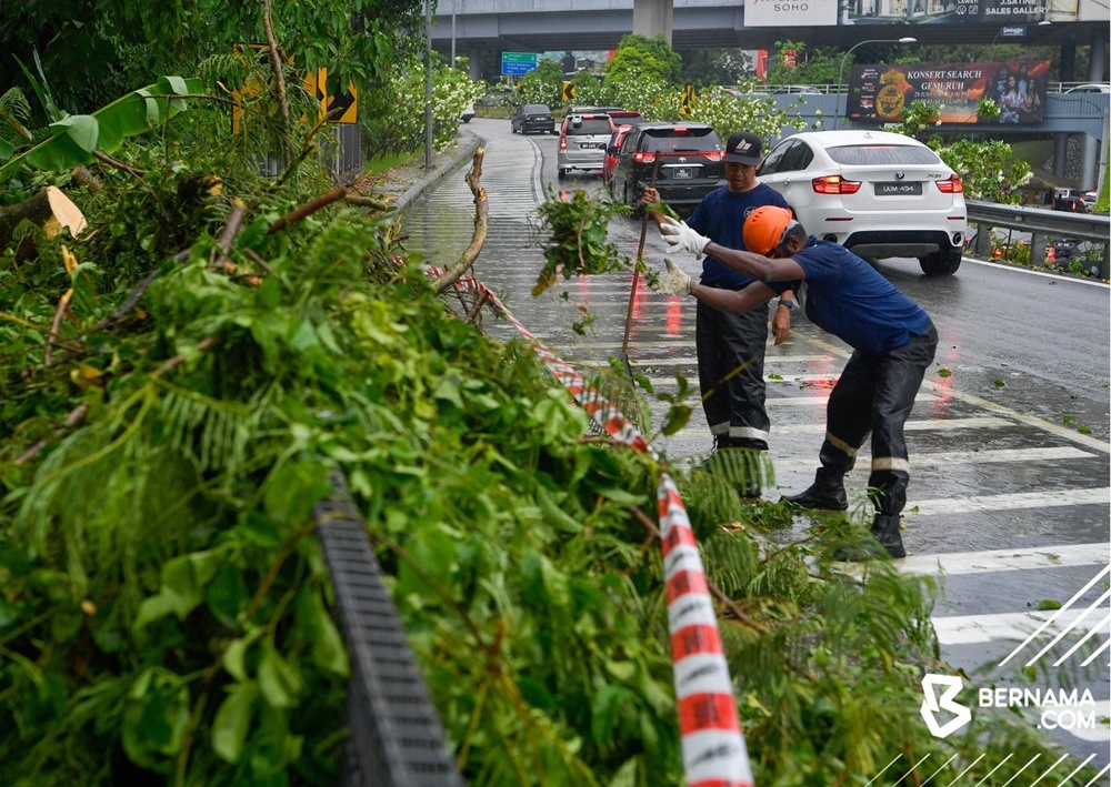 Fallen tree causes 1km traffic jam leading to Pahang roundabout in KL