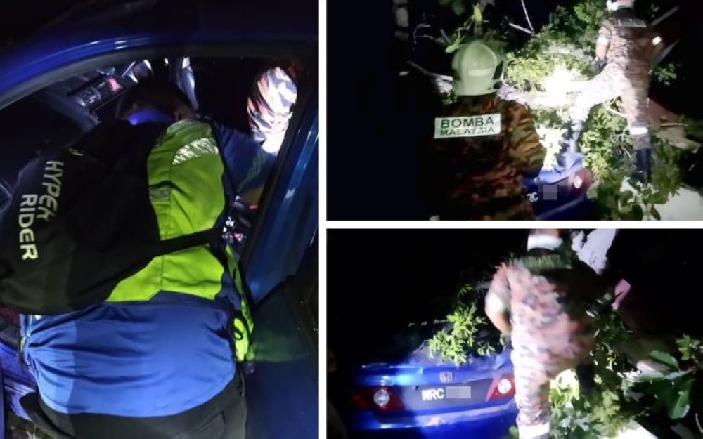 Woman hit on head by falling tree branch in Pantai Remis; vehicle crushed