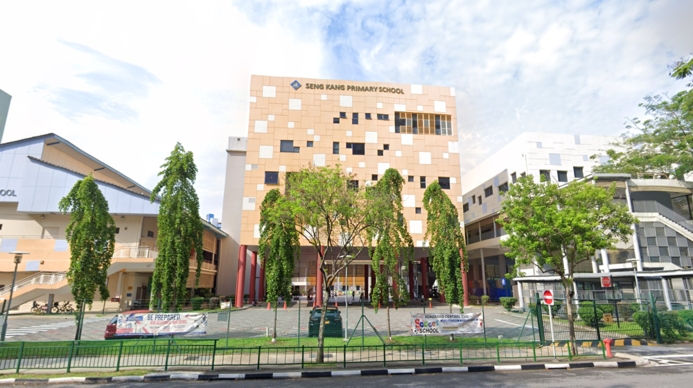 Three Singapore Primary 3 Students Suspended Over Threats To Dissect